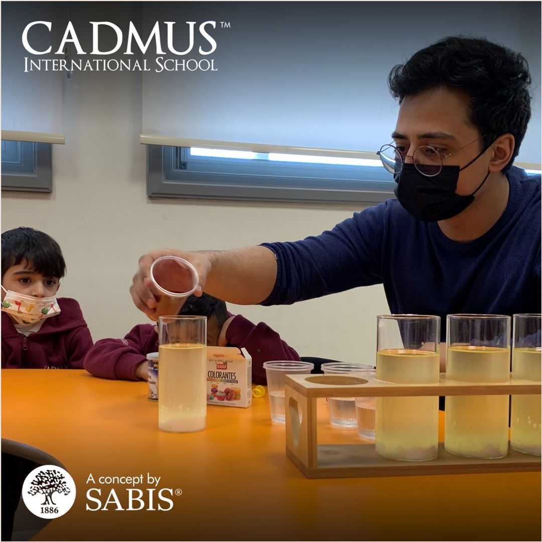 CADMUS Activity - CADMUS International School® – Iraq Gate