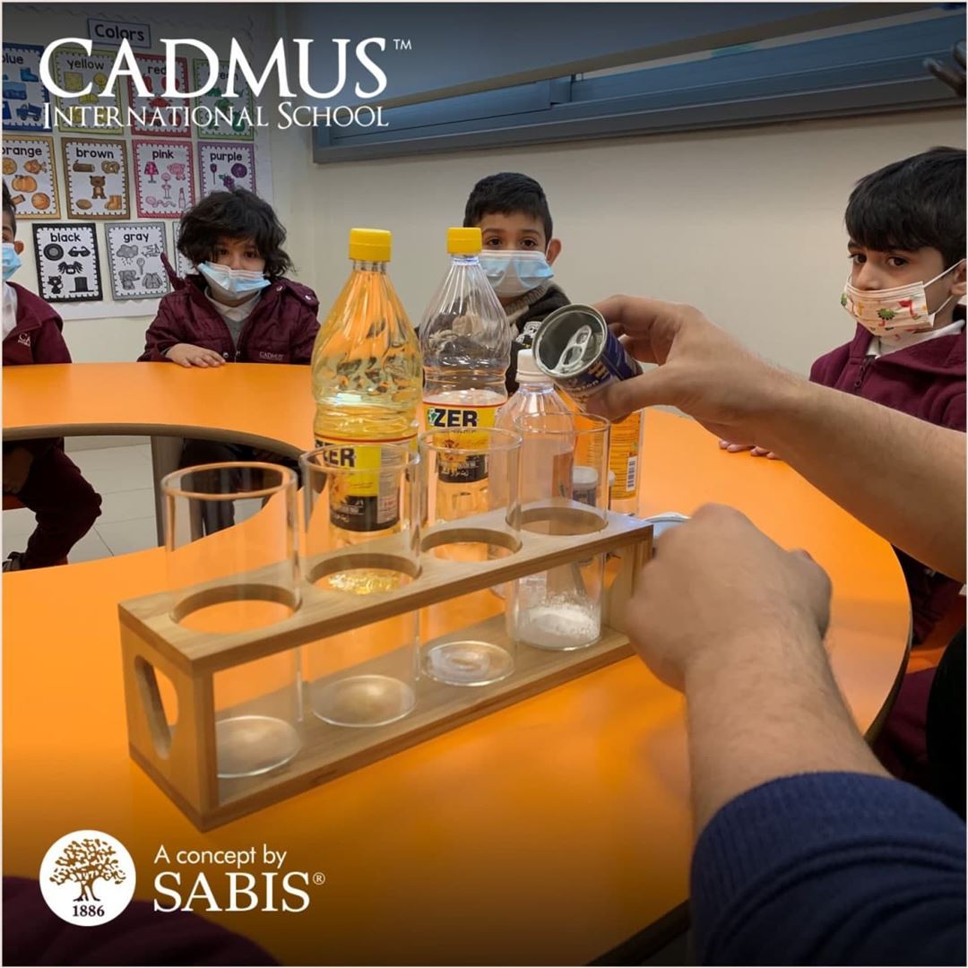 CADMUS Activity - CADMUS International School® – Iraq Gate