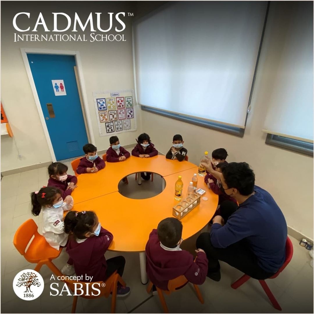 CADMUS Activity - CADMUS International School® – Iraq Gate
